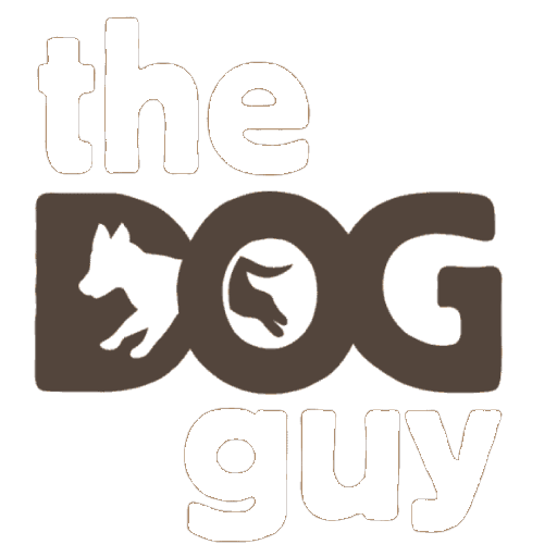 Home | Dog Obedience Training | The Dog Guy Hertfordshire